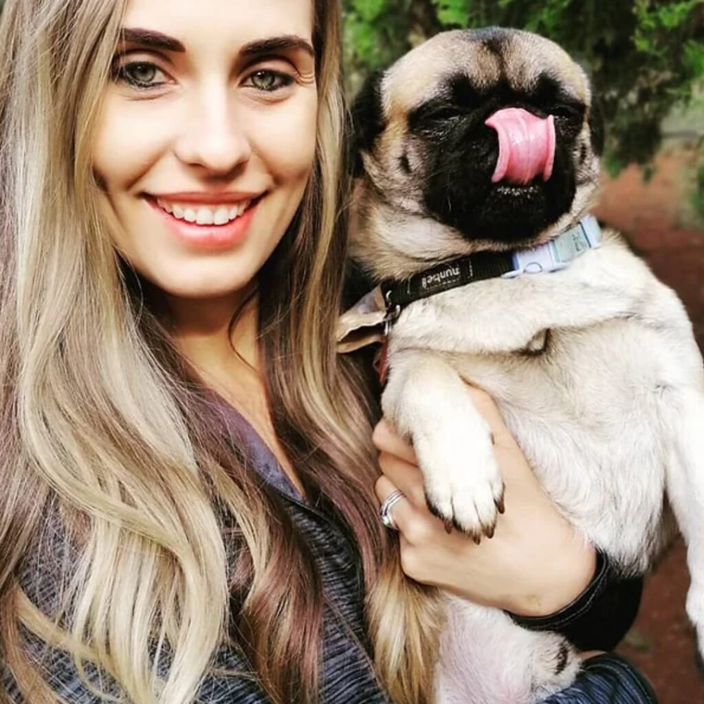 Kennel-free dog boarding Pretoria - Pawsome Pet Lodge