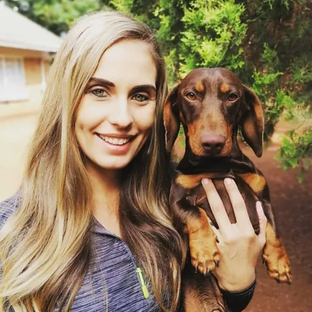 Kennel-free dog boarding Pretoria - Pawsome Pet Lodge